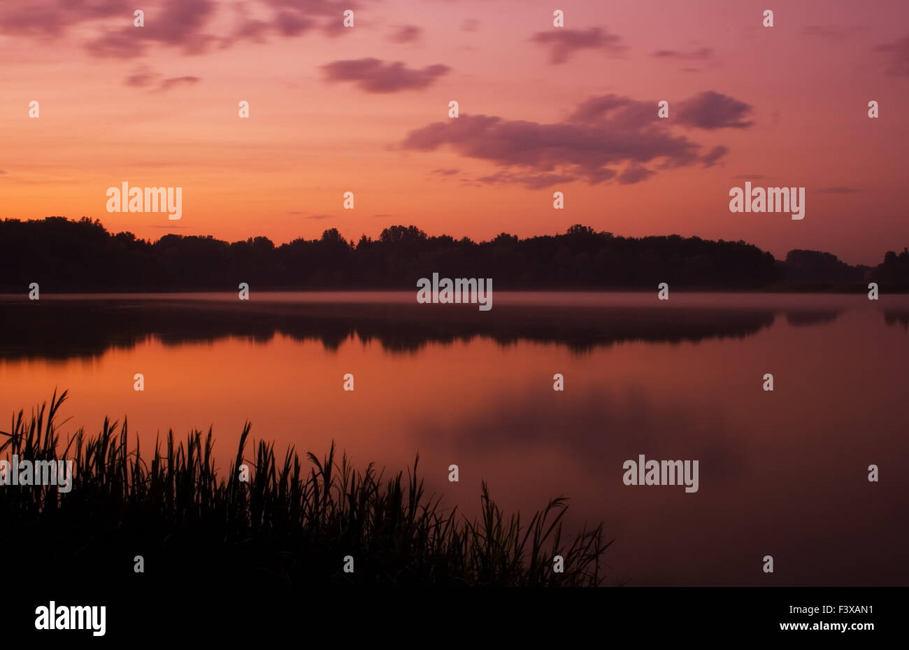 Romantic sunset on the lake with fog Stock Photo - Alamy