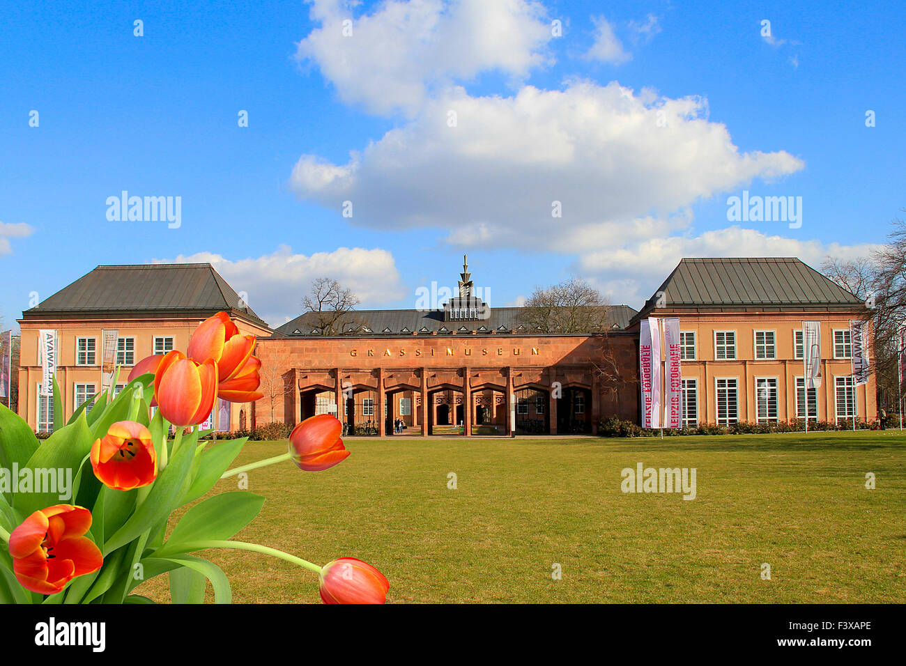 grassi museum in leipzig Stock Photo - Alamy
