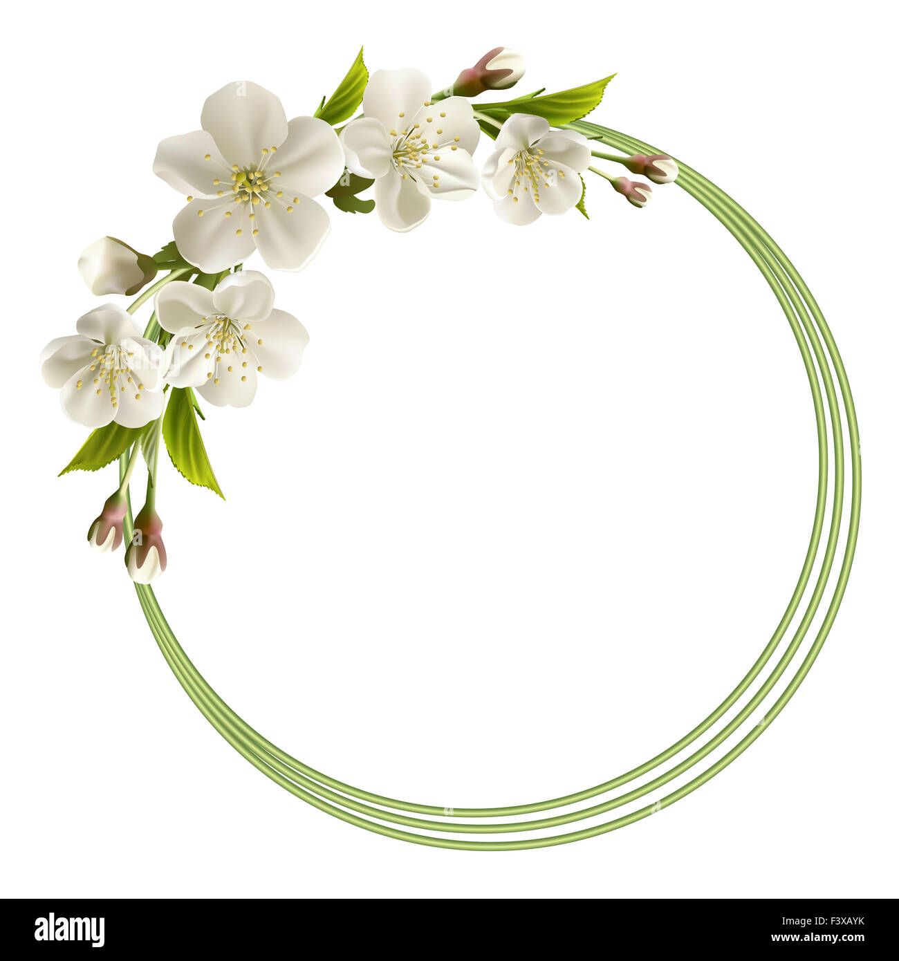 Cherry spring flowers Cut Out Stock Images & Pictures - Alamy