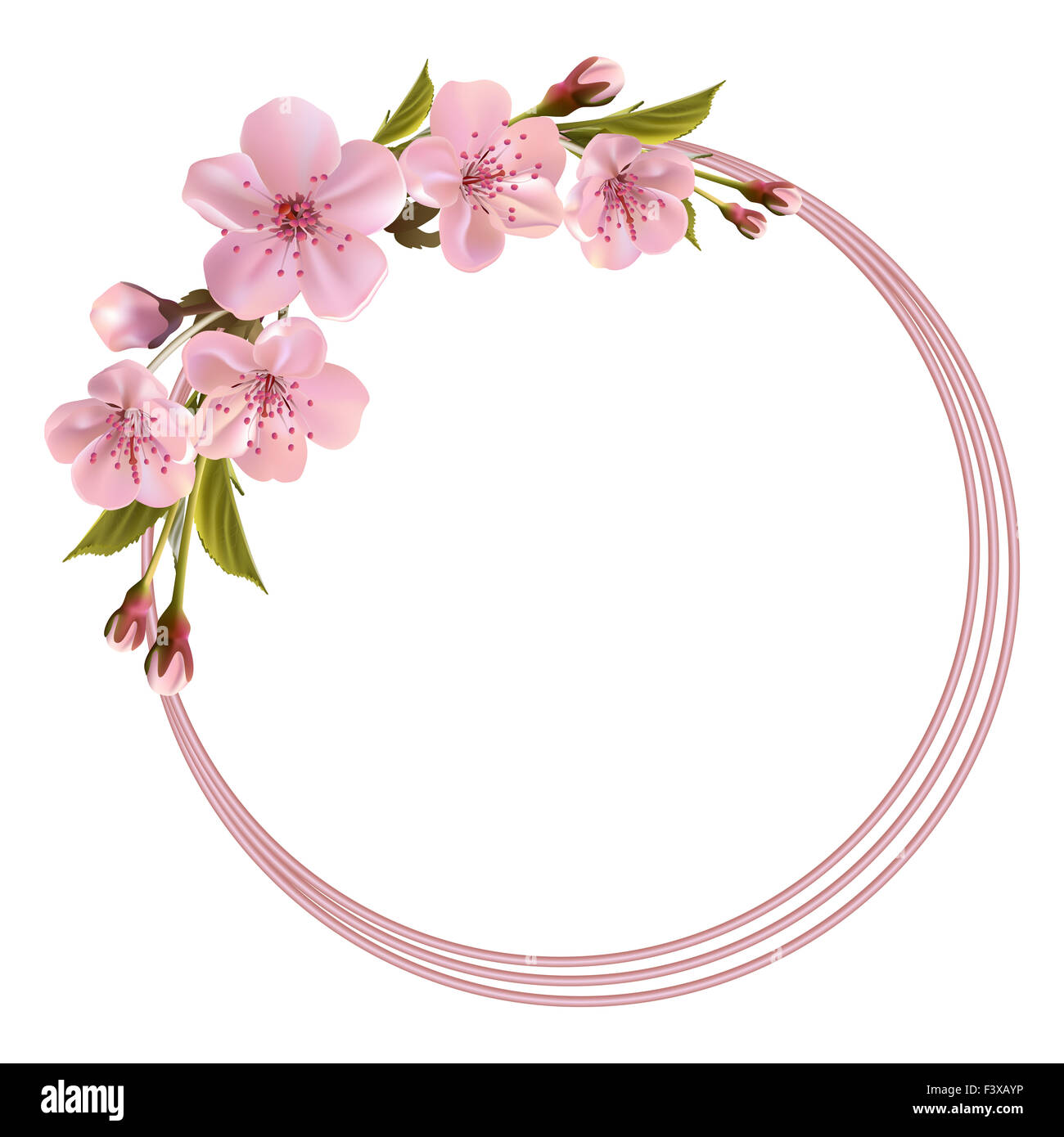 Light pink cherry Cut Out Stock Images & Pictures - Alamy