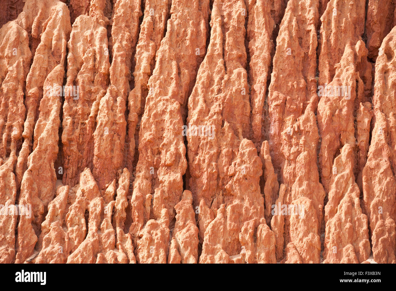 wall of sand ravine Stock Photo - Alamy