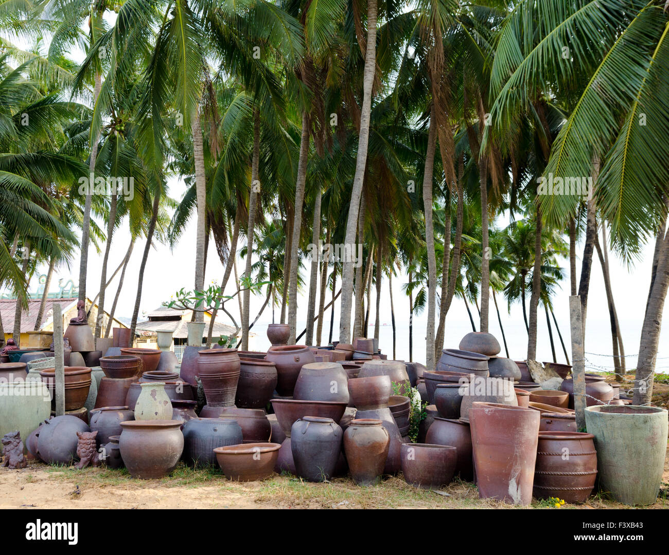 Tropical pots hi-res stock photography and images - Alamy