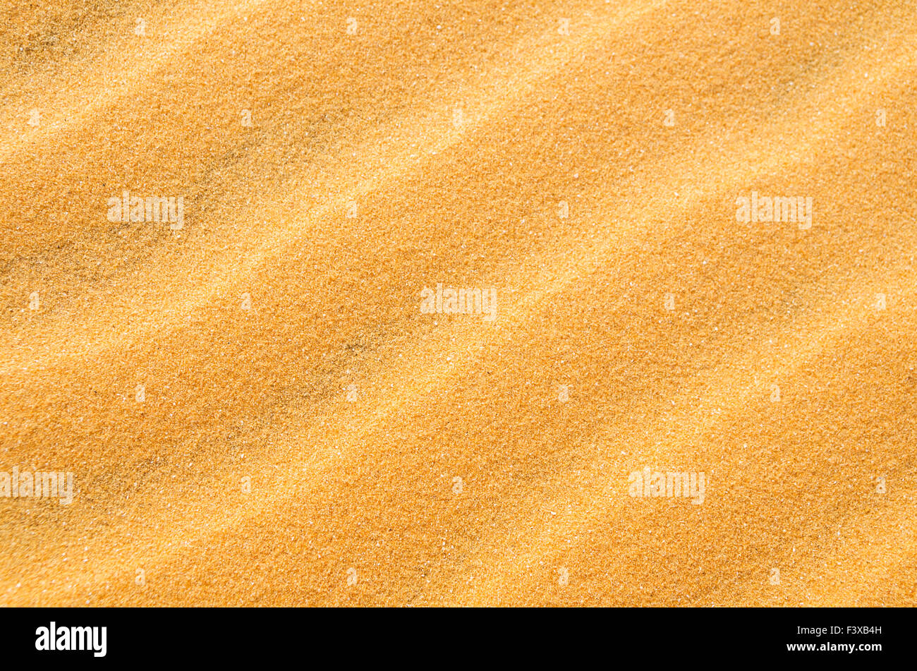 Sunny beach backdrop hi-res stock photography and images - Alamy