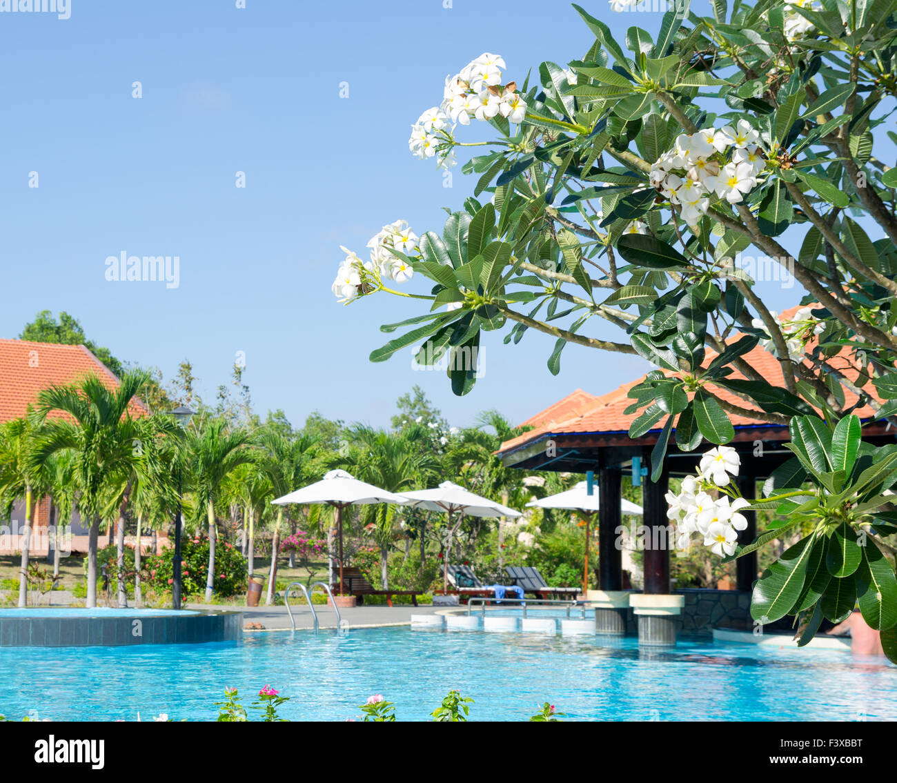 outdoor swimming pool Stock Photo - Alamy