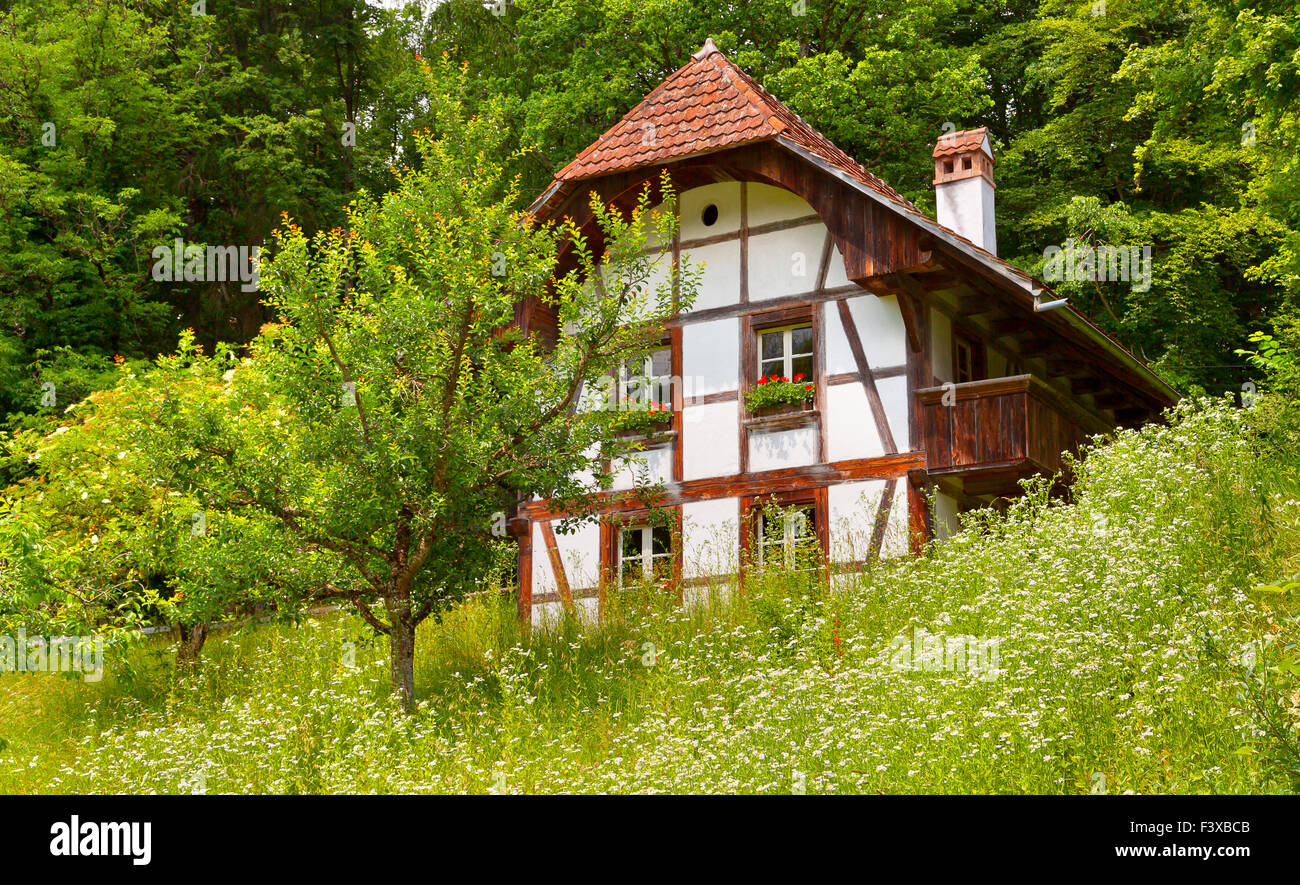 Swiss houses with a garden Stock Photo - Alamy