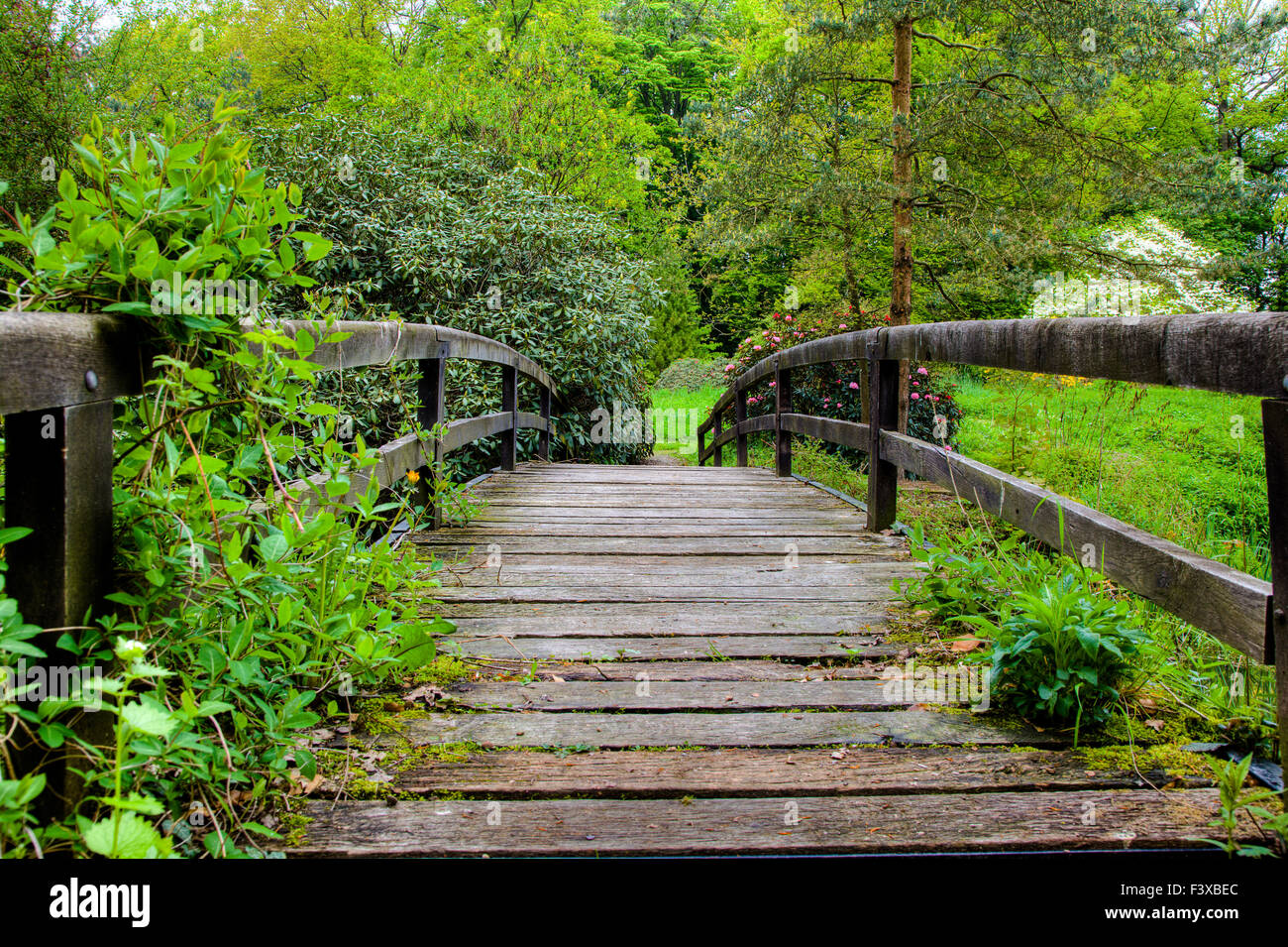 Old wooden bridge Stock Photo - Alamy