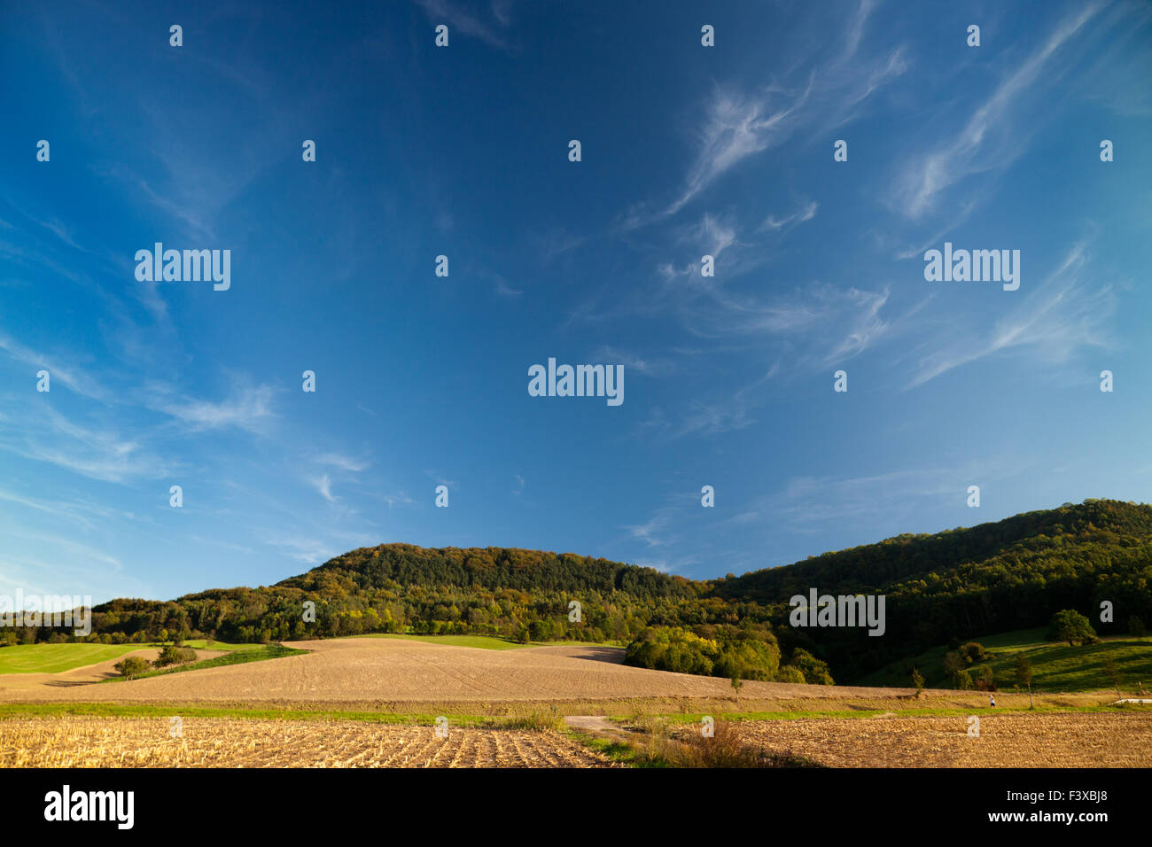 Kunitz hi-res stock photography and images - Alamy