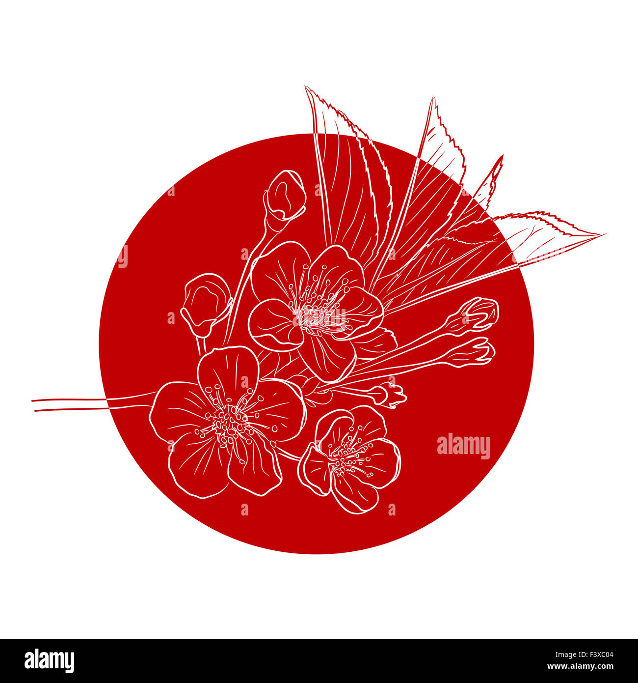 Blooming ornamental cherry tree Cut Out Stock Images & Pictures - Alamy