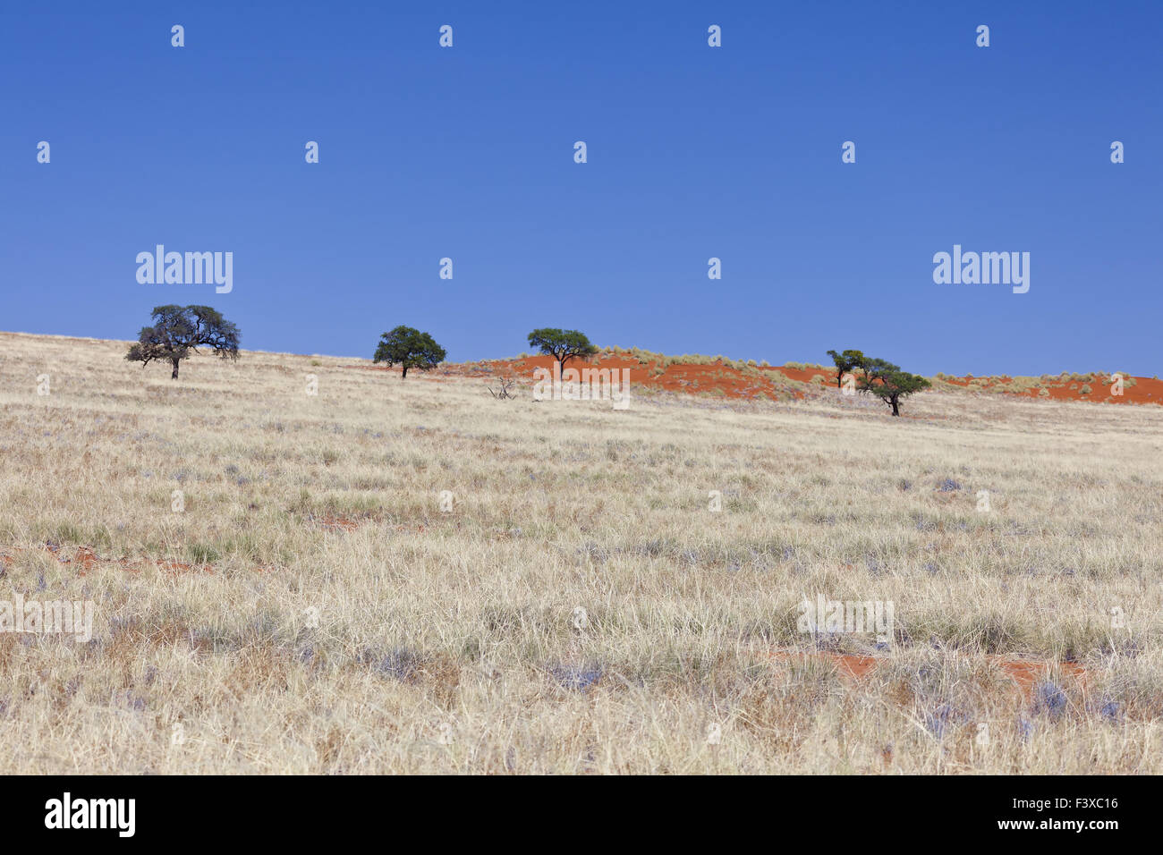 NamibRand nature reserve Stock Photo - Alamy