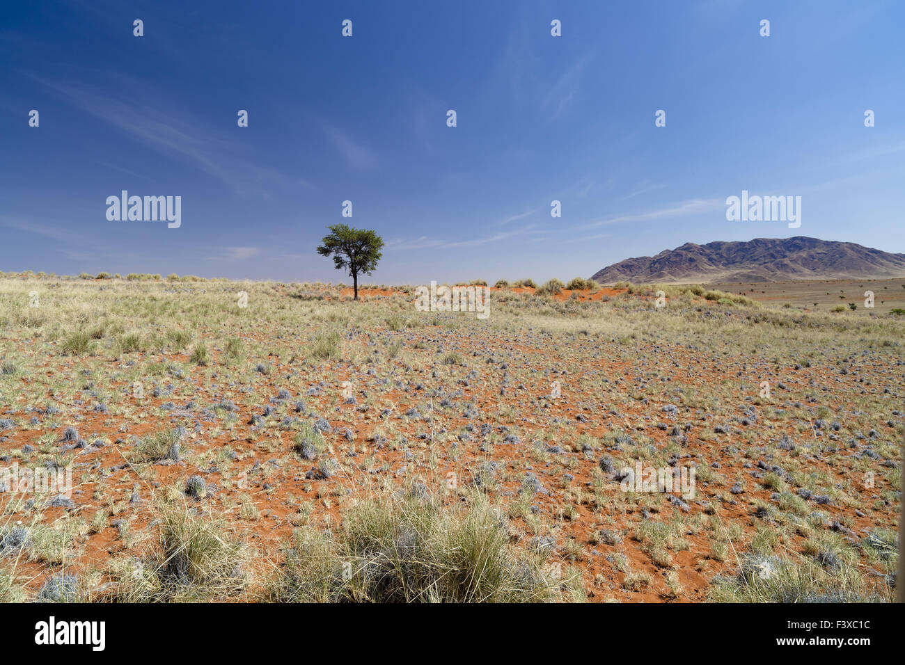 NamibRand nature reserve Stock Photo - Alamy
