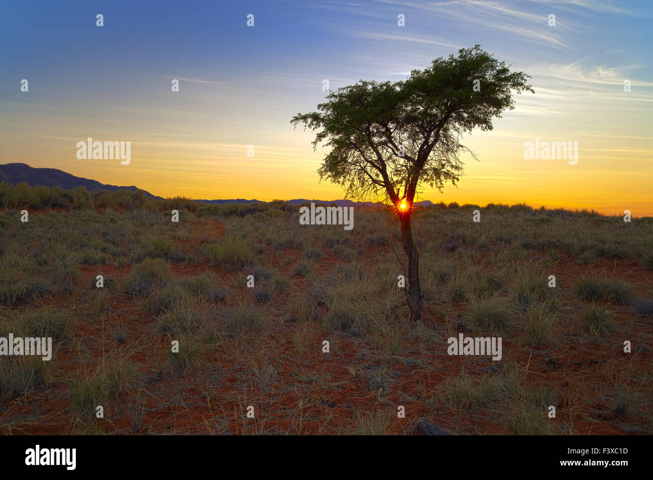 Sunrise in the namibrand nature reserve Stock Photo - Alamy
