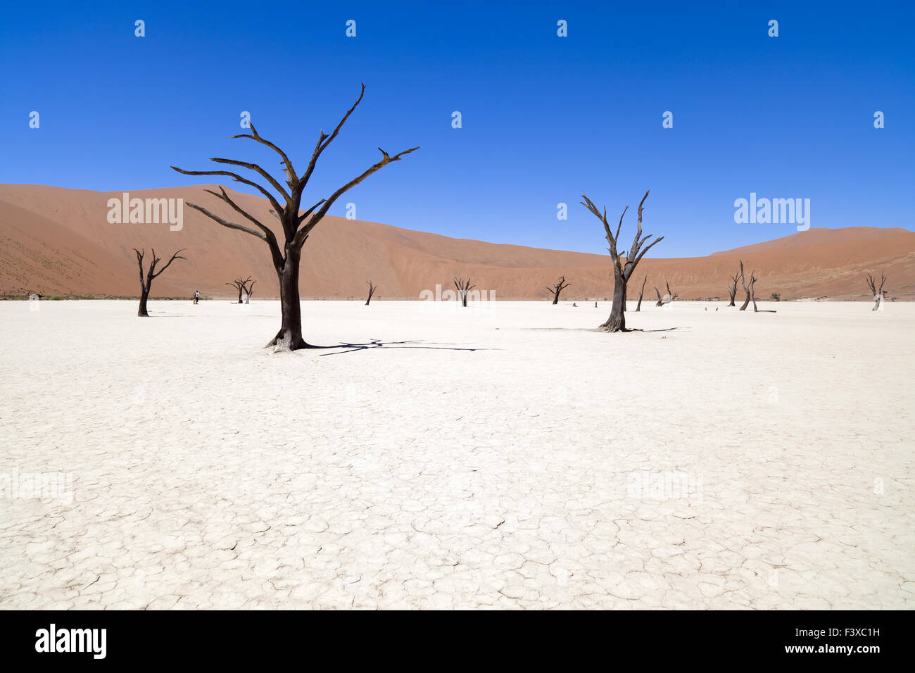 Deadvlei in Namibia-africa Stock Photo - Alamy