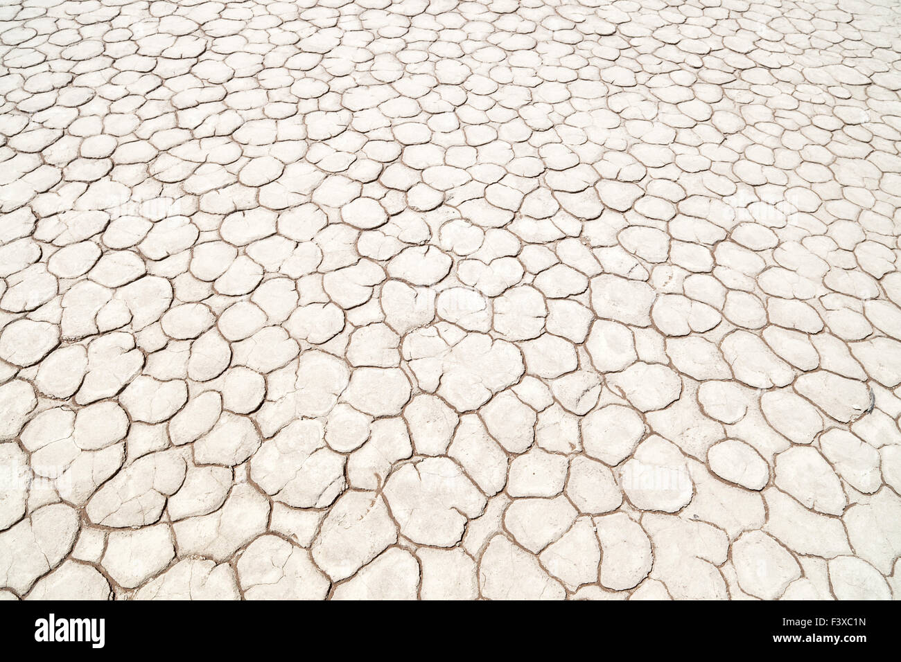 The parched ground in Deadvlei Stock Photo - Alamy