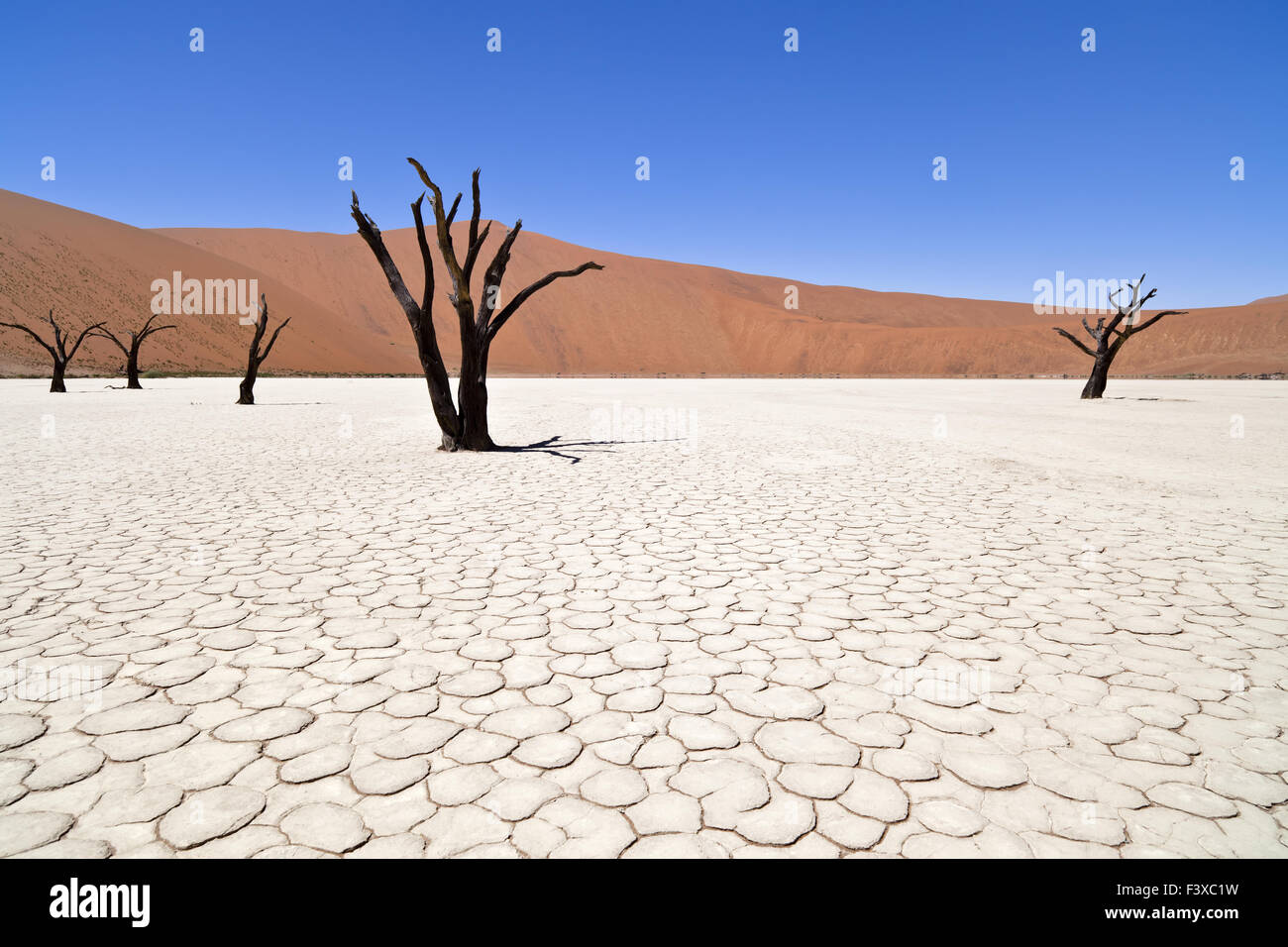 Deadvlei in Namibia-africa Stock Photo - Alamy
