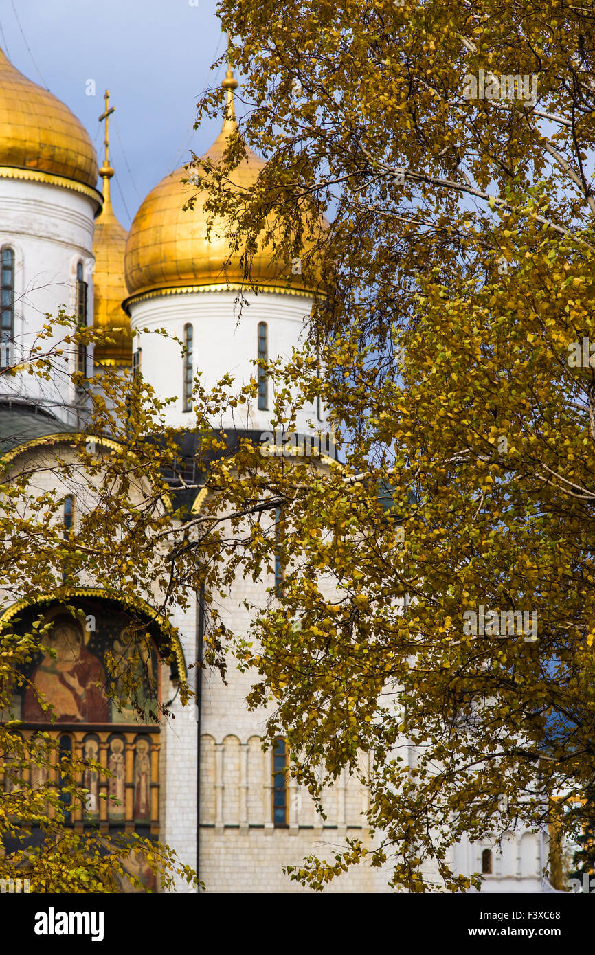 Golden autumn in russia hi-res stock photography and images - Alamy
