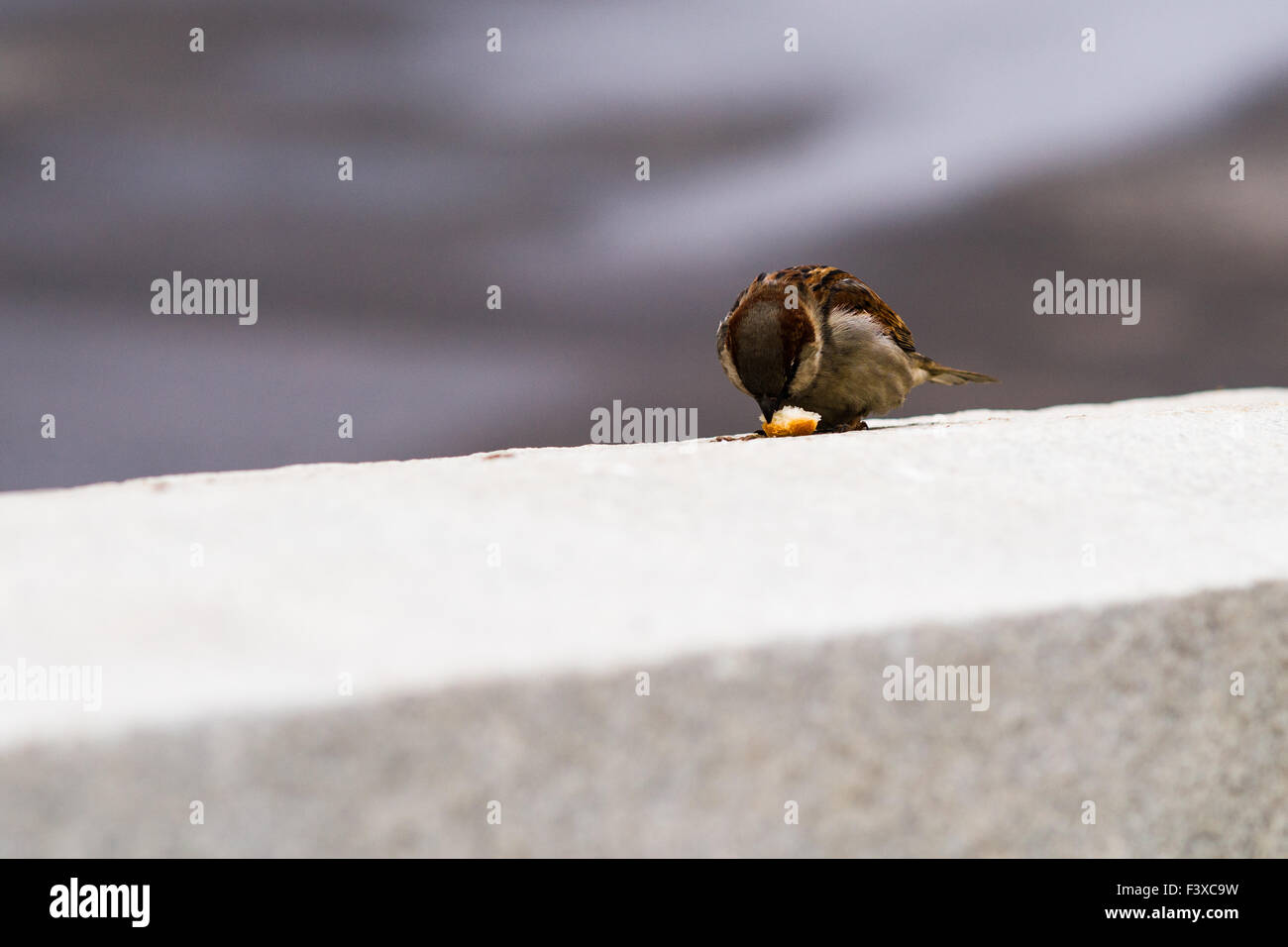 Lunch time lunch time hi-res stock photography and images - Alamy