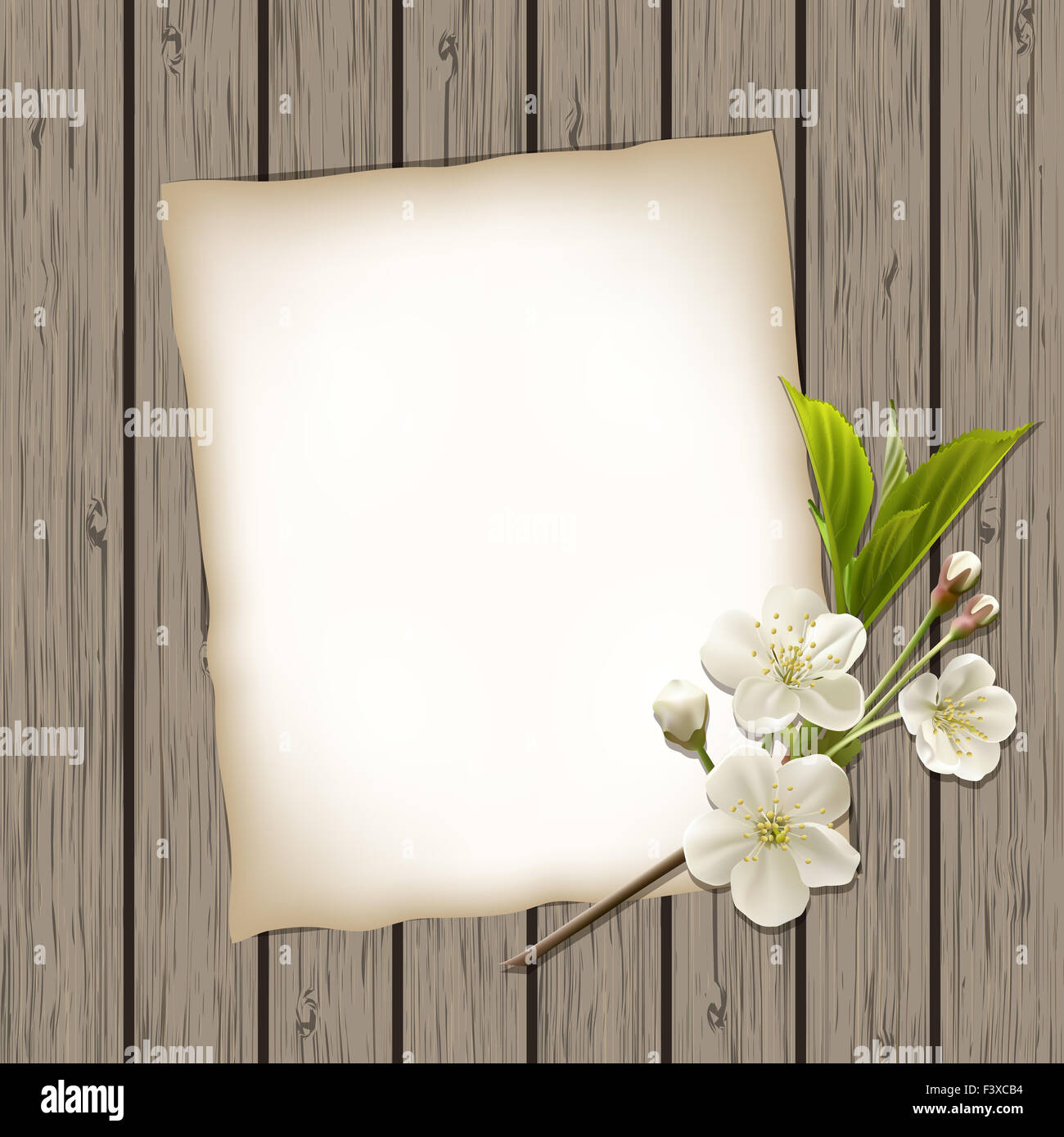 Paper branch hi-res stock photography and images - Alamy