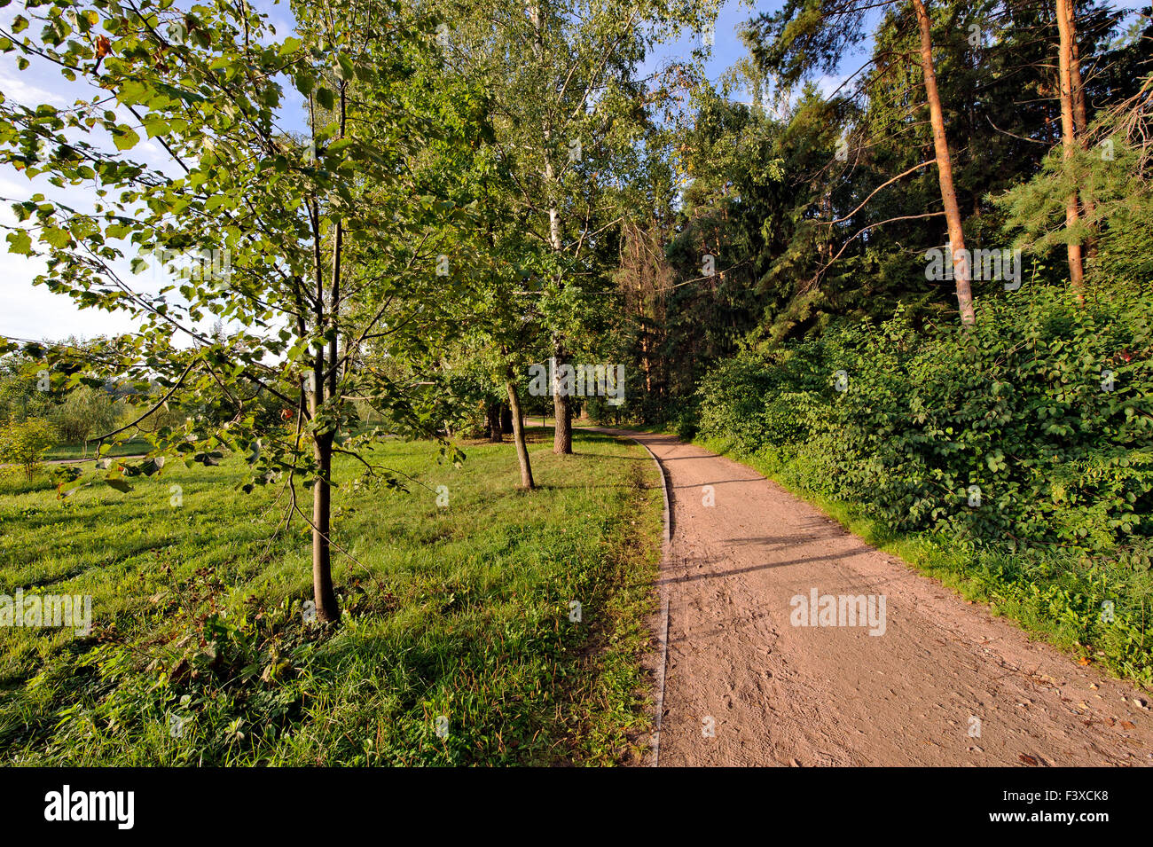 Summer park at morning Stock Photo - Alamy