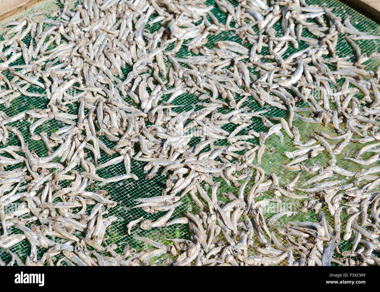 Drying frames hi-res stock photography and images - Alamy