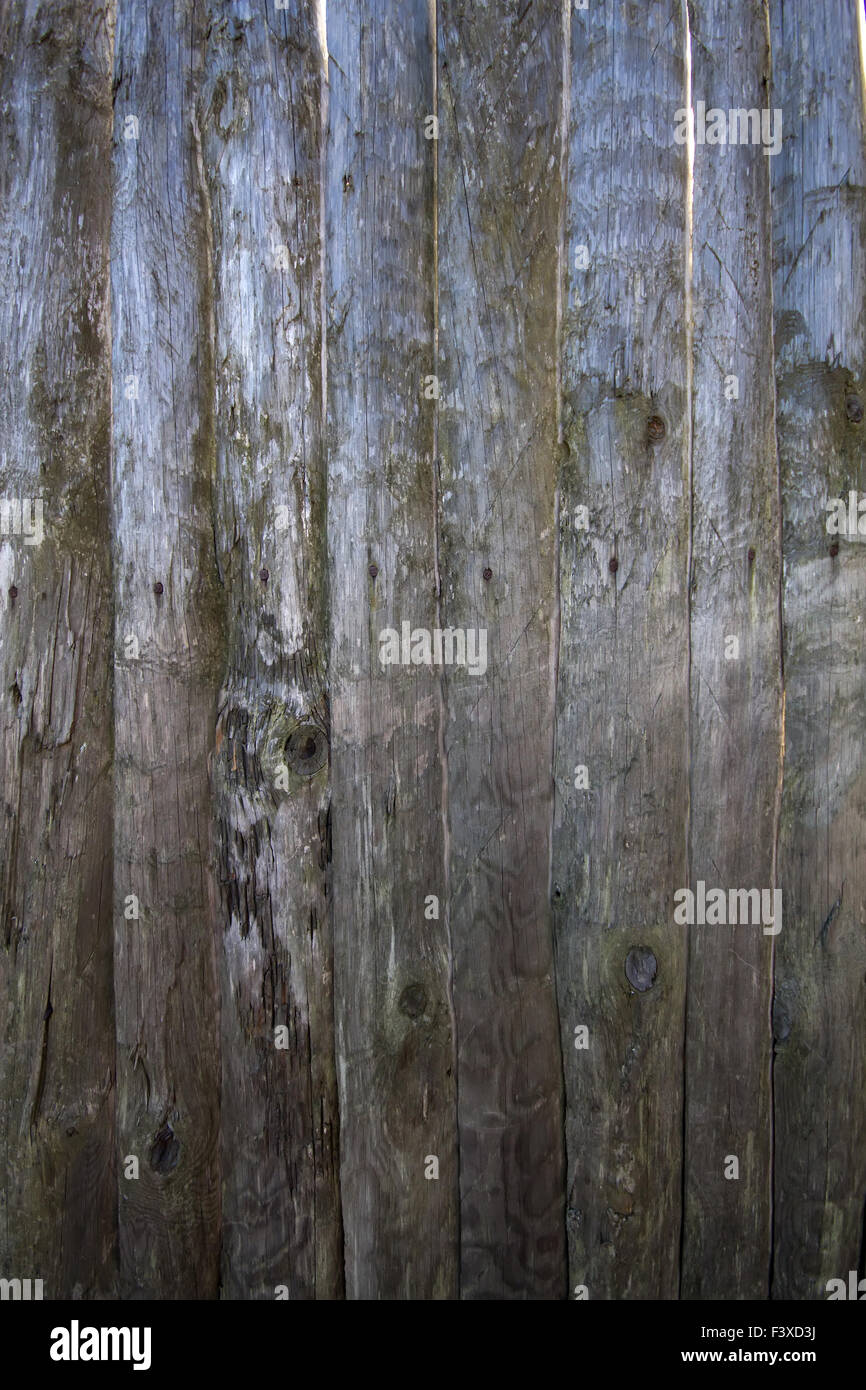Timber textures hi-res stock photography and images - Alamy