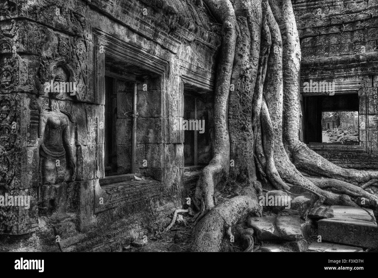 Cambodia angkor ta prohm Black and White Stock Photos & Images - Alamy