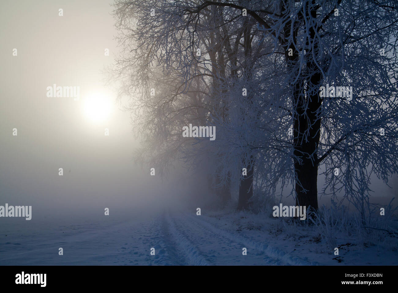 Winter landscape at sunny frozen morning Stock Photo - Alamy