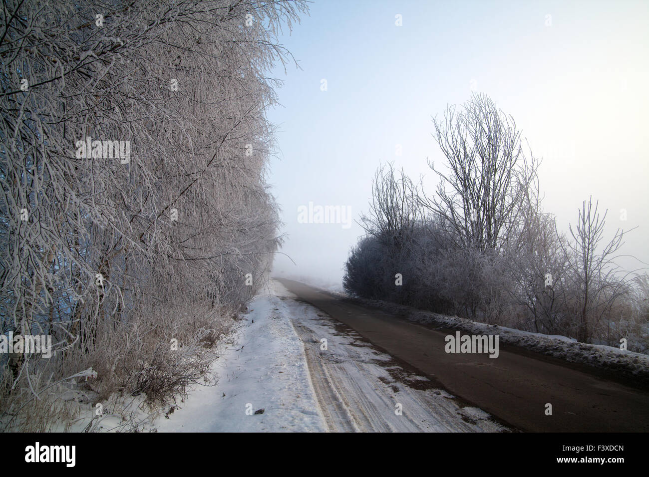 Winter landscape at sunny frozen morning Stock Photo - Alamy