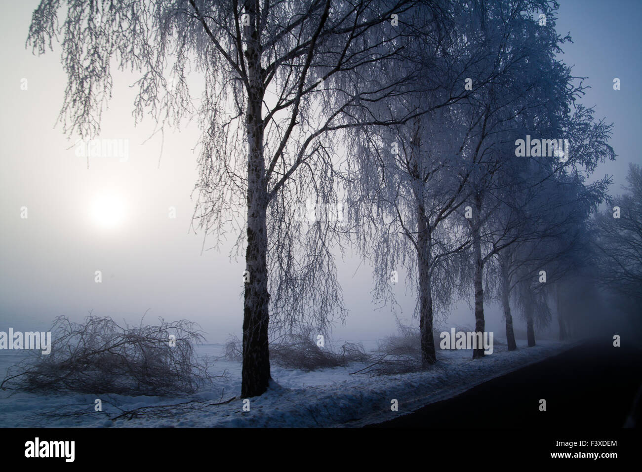 Winter landscape at sunny frozen morning Stock Photo - Alamy