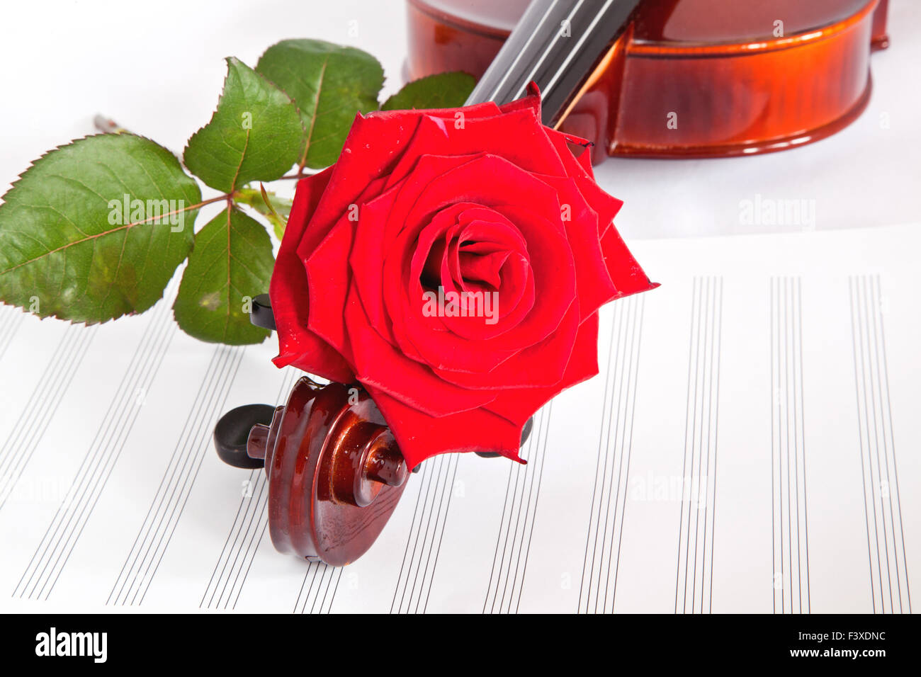 Musical Note Rose High Resolution Stock Photography and Images - Alamy