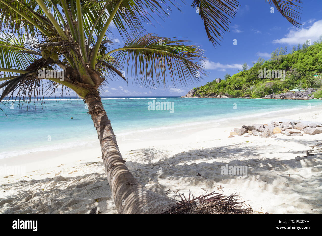 Tropical Island Beach Stock Photo - Alamy