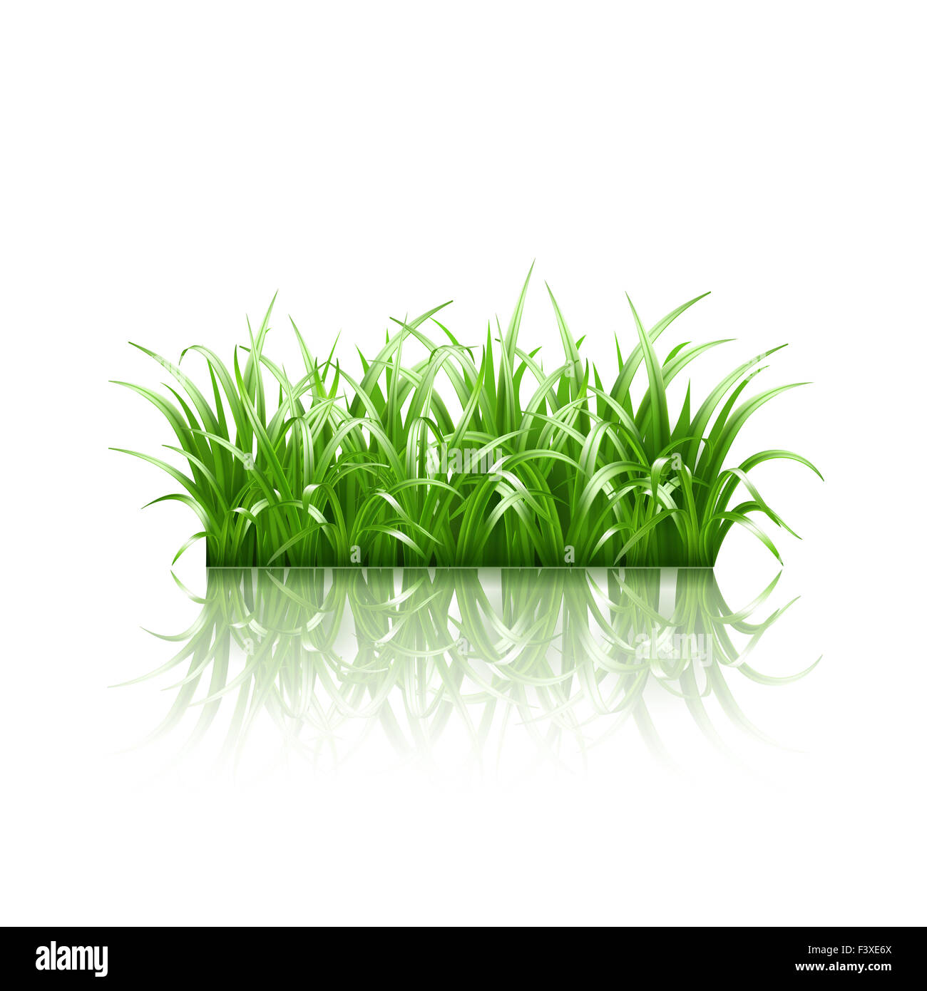 Green grass, vector Stock Photo - Alamy