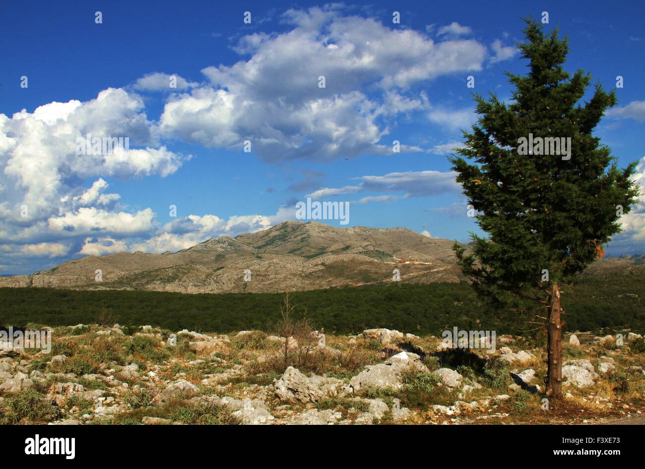 Plateau in the mountains Stock Photo - Alamy