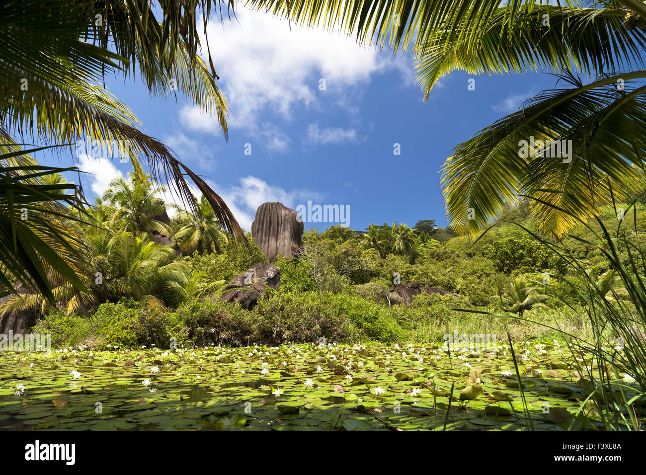 Insel mahe hi-res stock photography and images - Alamy