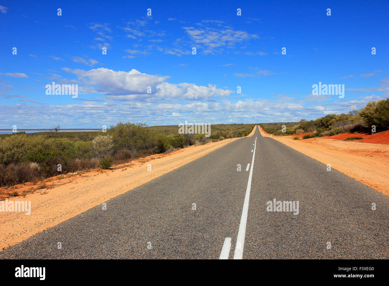 Monkey mia australia hi-res stock photography and images - Alamy