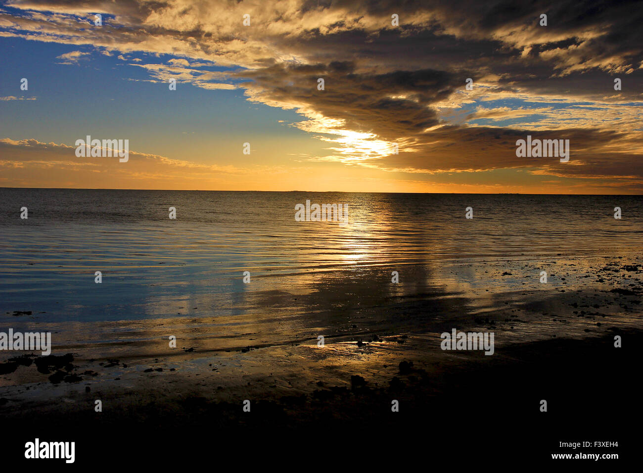 australia - coral bay Stock Photo - Alamy