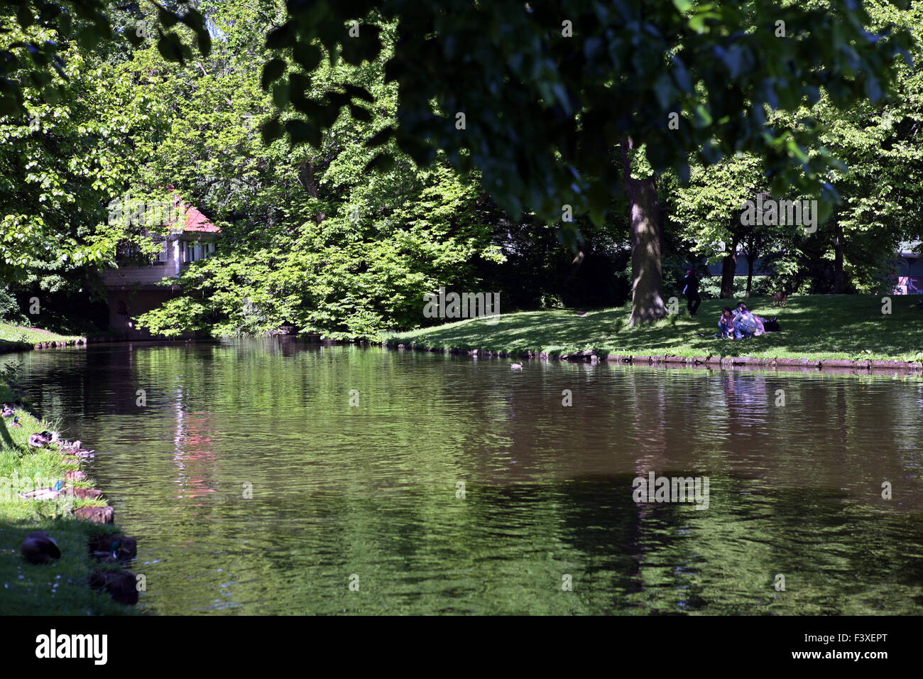 Dueker hi-res stock photography and images - Alamy