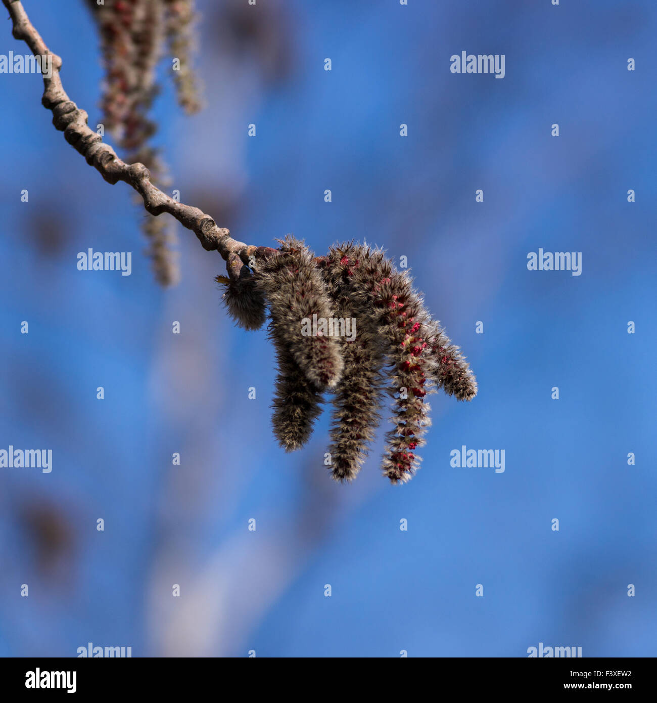 Hard swell hi-res stock photography and images - Alamy