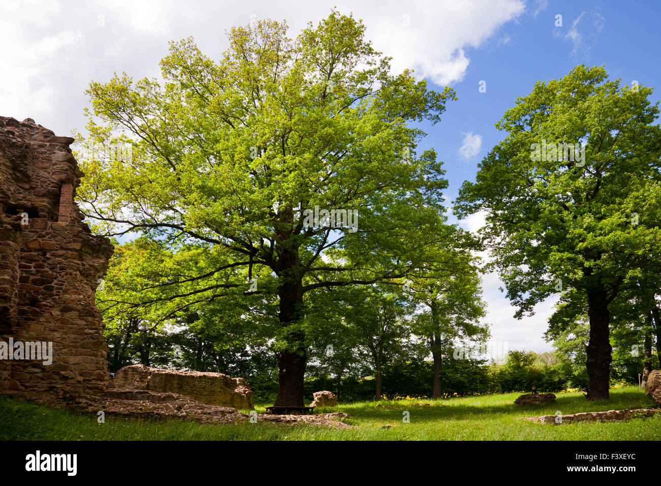Desolate castle hi-res stock photography and images - Alamy