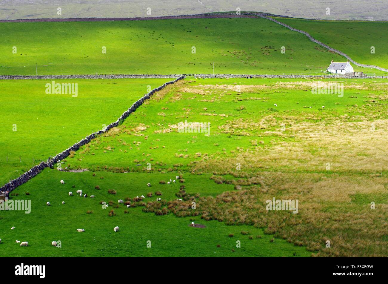 Green country hi-res stock photography and images - Alamy