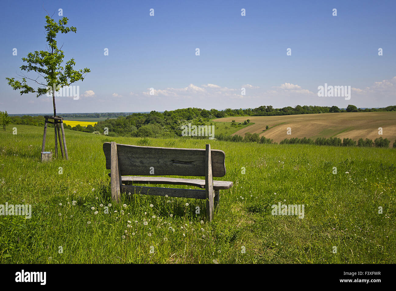 city park seelow Stock Photo - Alamy