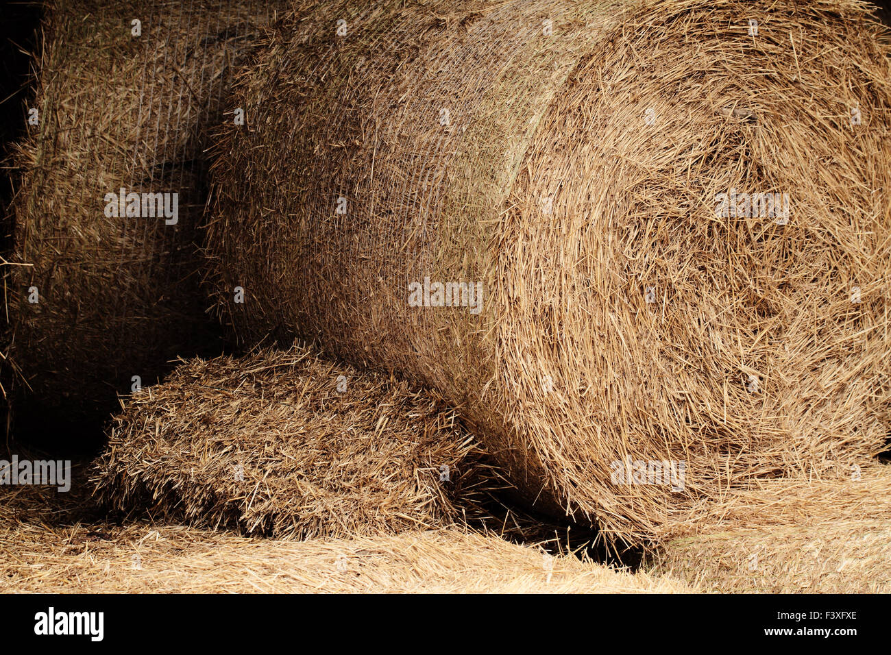 A close-up shot of a large bail of hay Stock Photo - Alamy