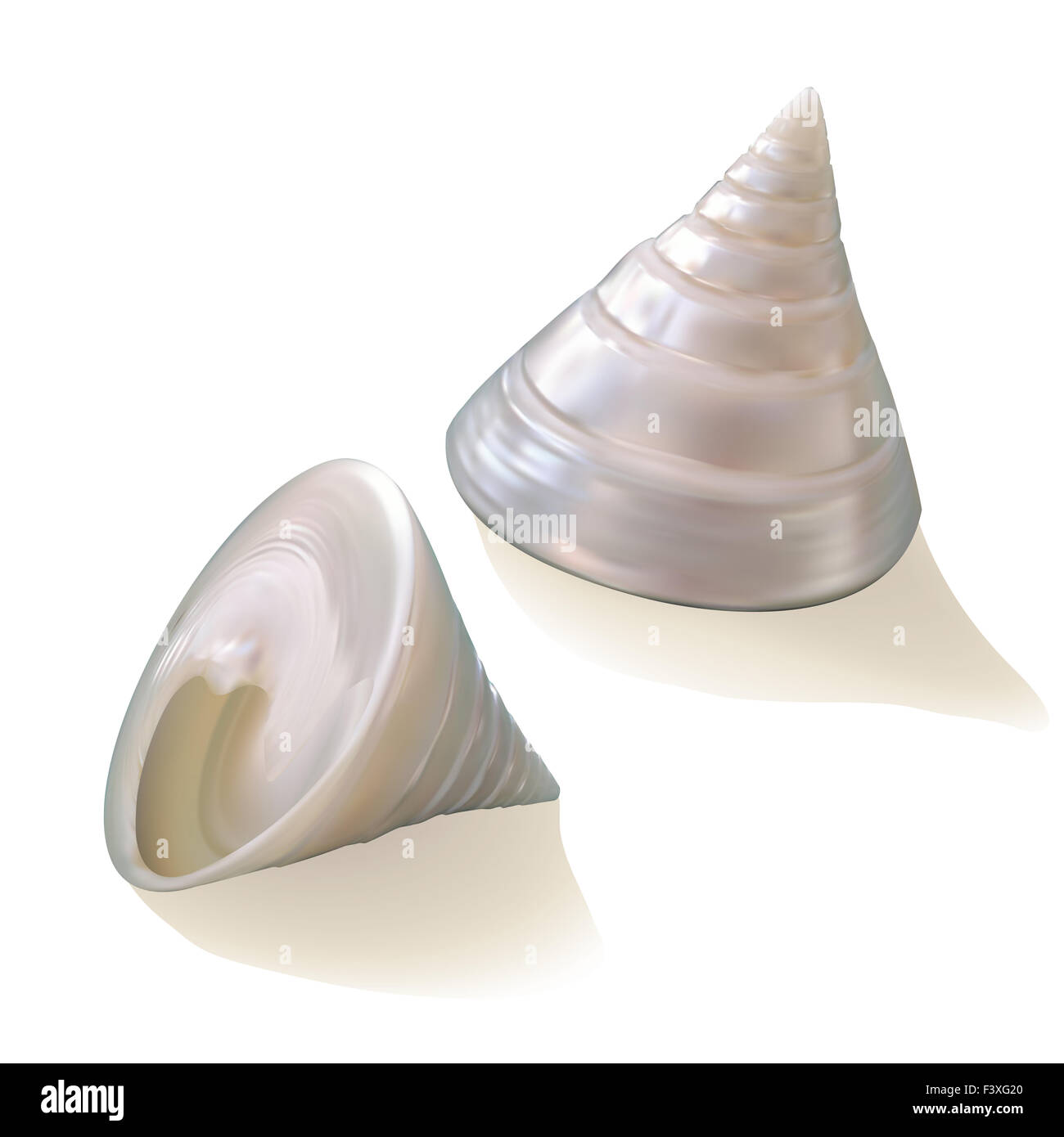 Seashells decor Cut Out Stock Images & Pictures - Alamy