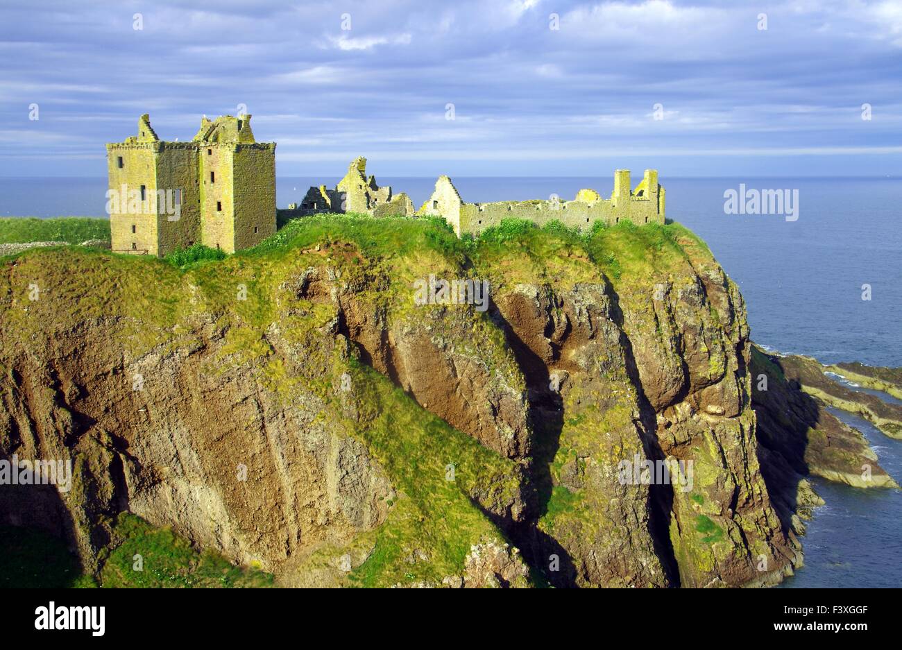 Dunnottar castle flowers hi-res stock photography and images - Alamy