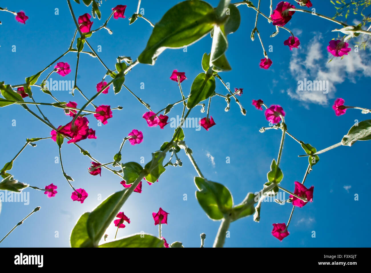 Nachb hi-res stock photography and images - Alamy