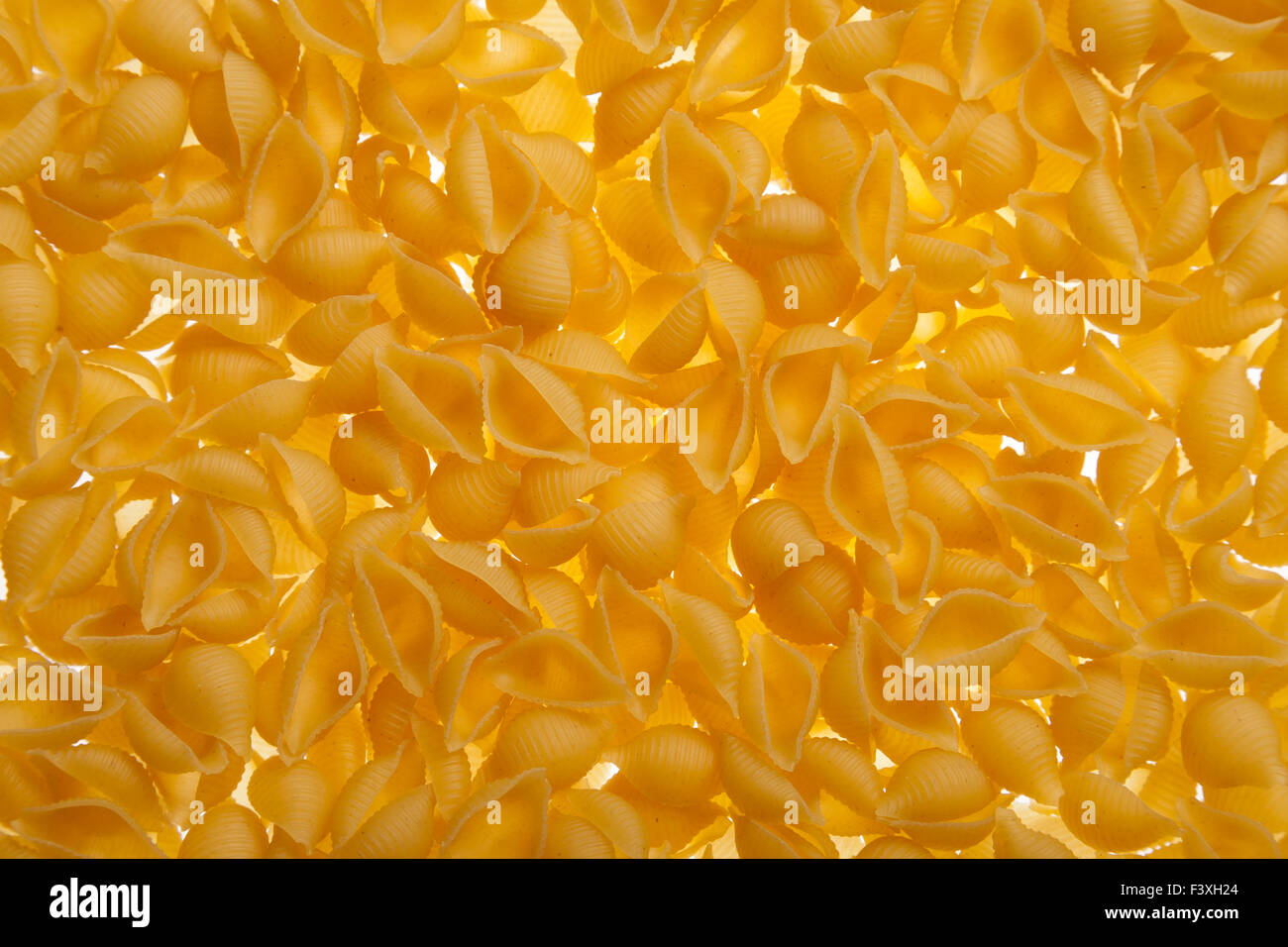 Shell shaped spaghetti Stock Photo - Alamy