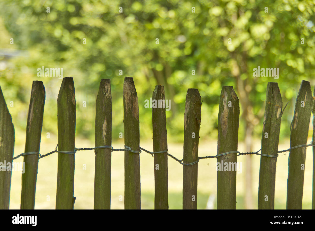 Overcoming nature hi-res stock photography and images - Alamy