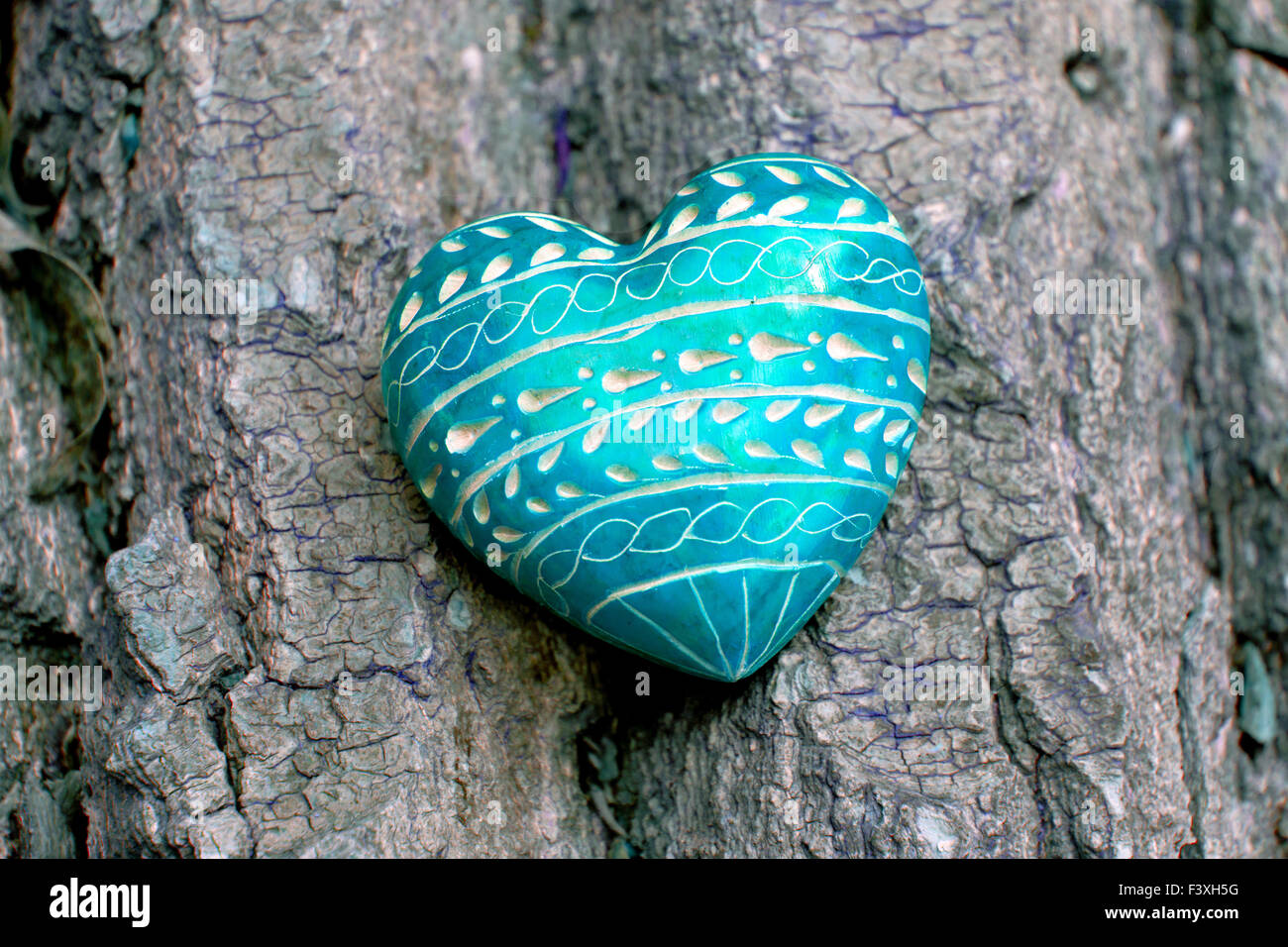 Symbol of heart carved on the tree hi-res stock photography and images ...
