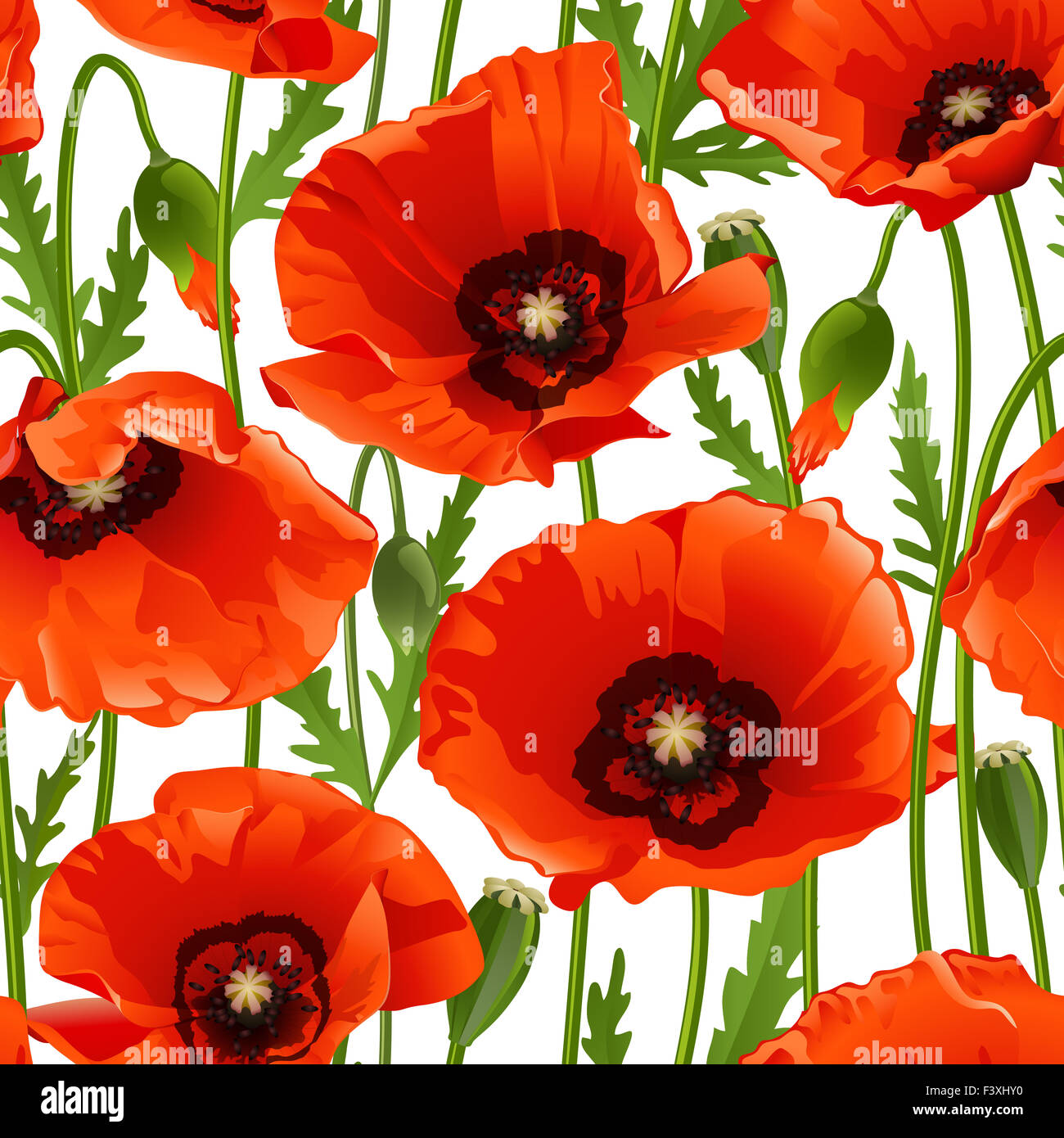 Poppy seamless pattern Stock Photo - Alamy