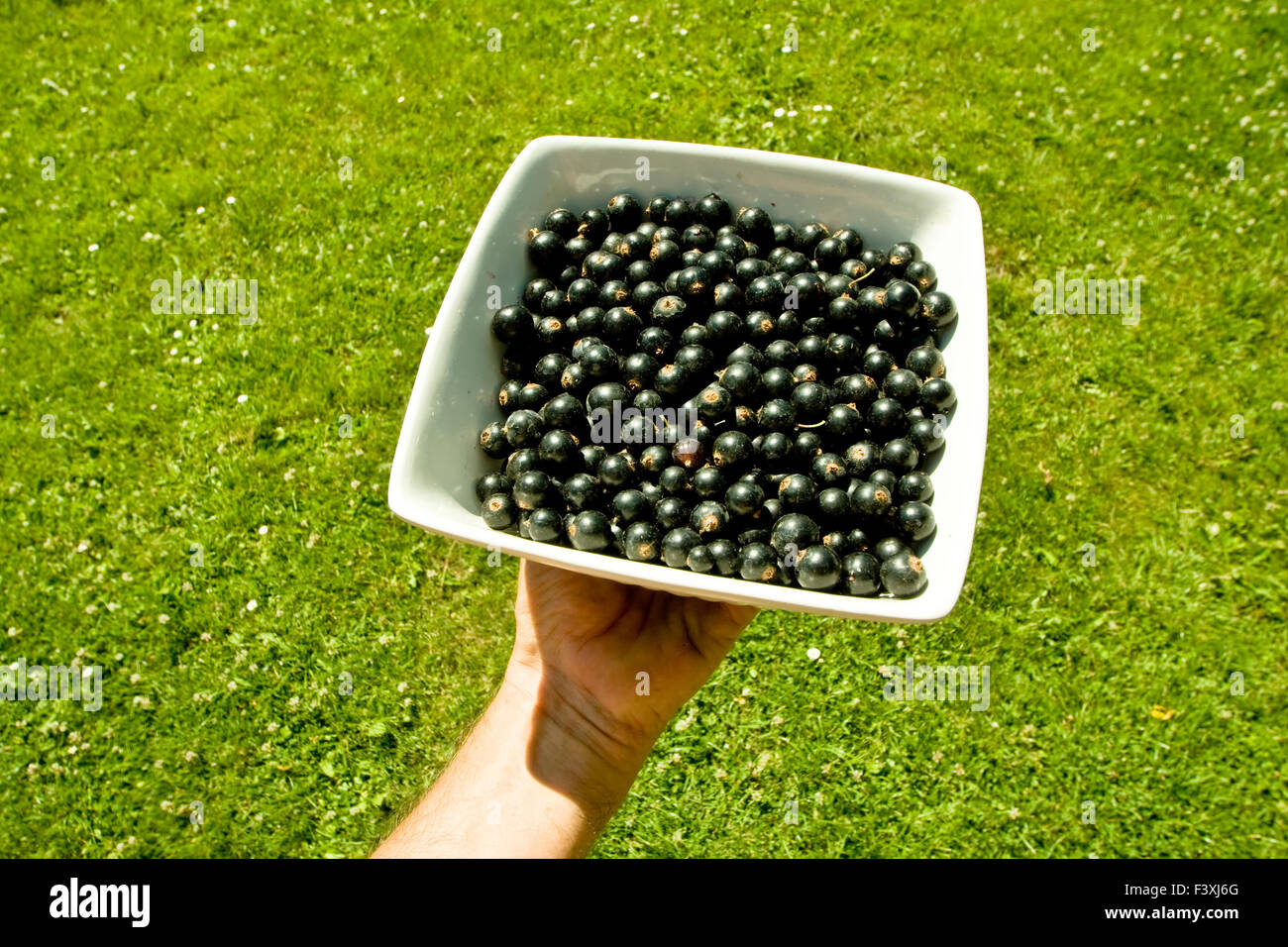 Black cassis hi-res stock photography and images - Alamy