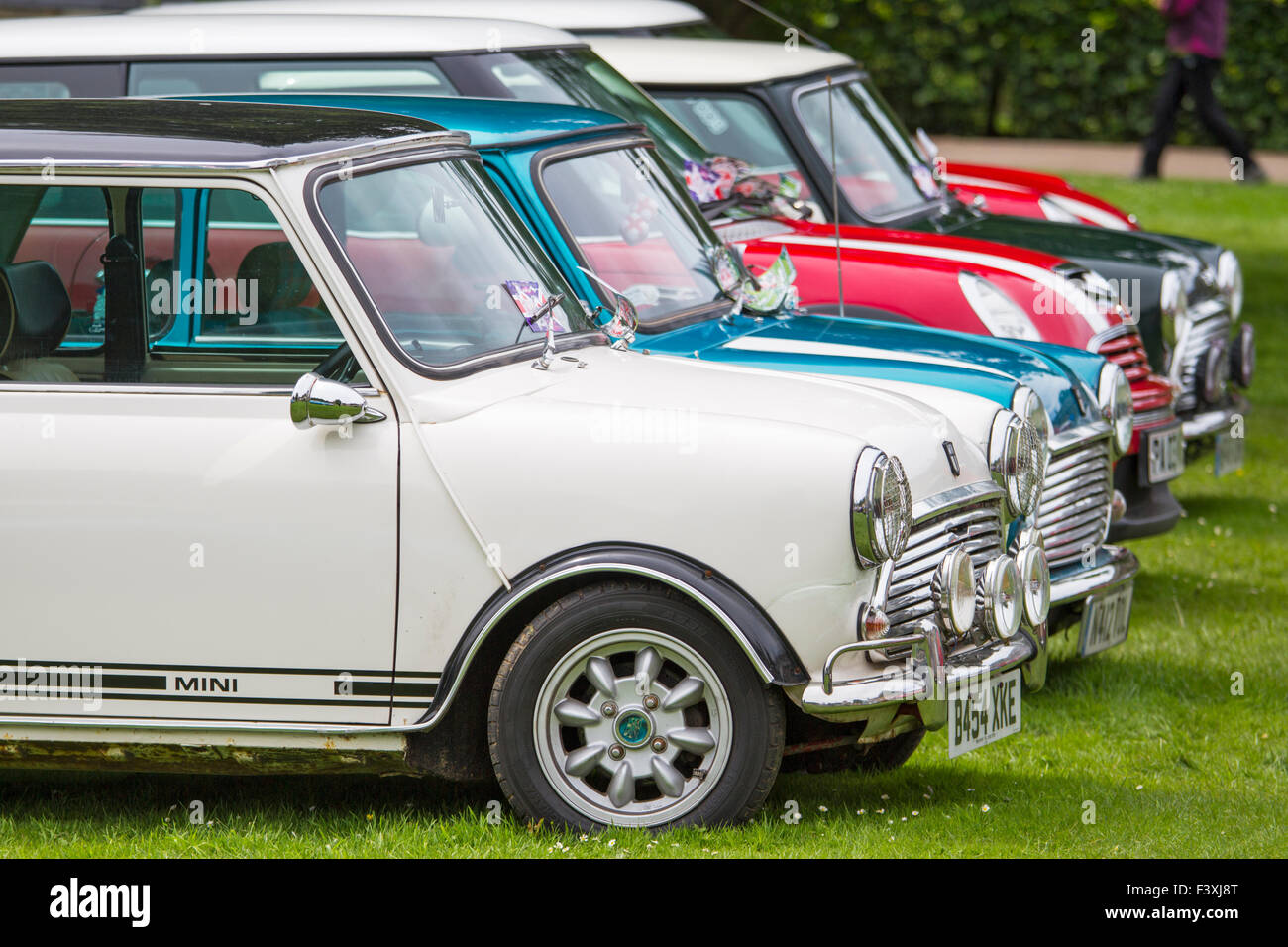 Classic Mini Car 60s Stock Photos & Classic Mini Car 60s Stock Images ...